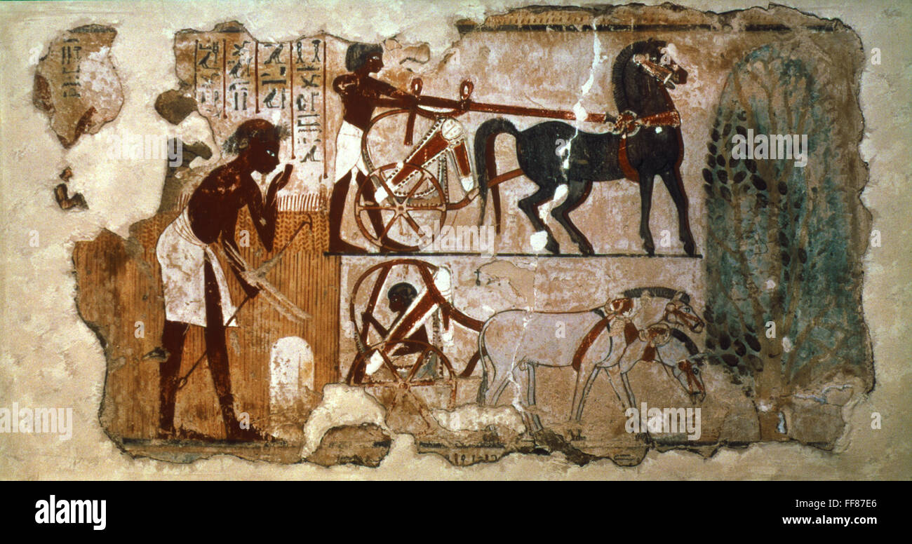 EGYPT: BARLEY FIELD, 1400 B.C. /nEgyptian tomb painting, c1400 B.C ...