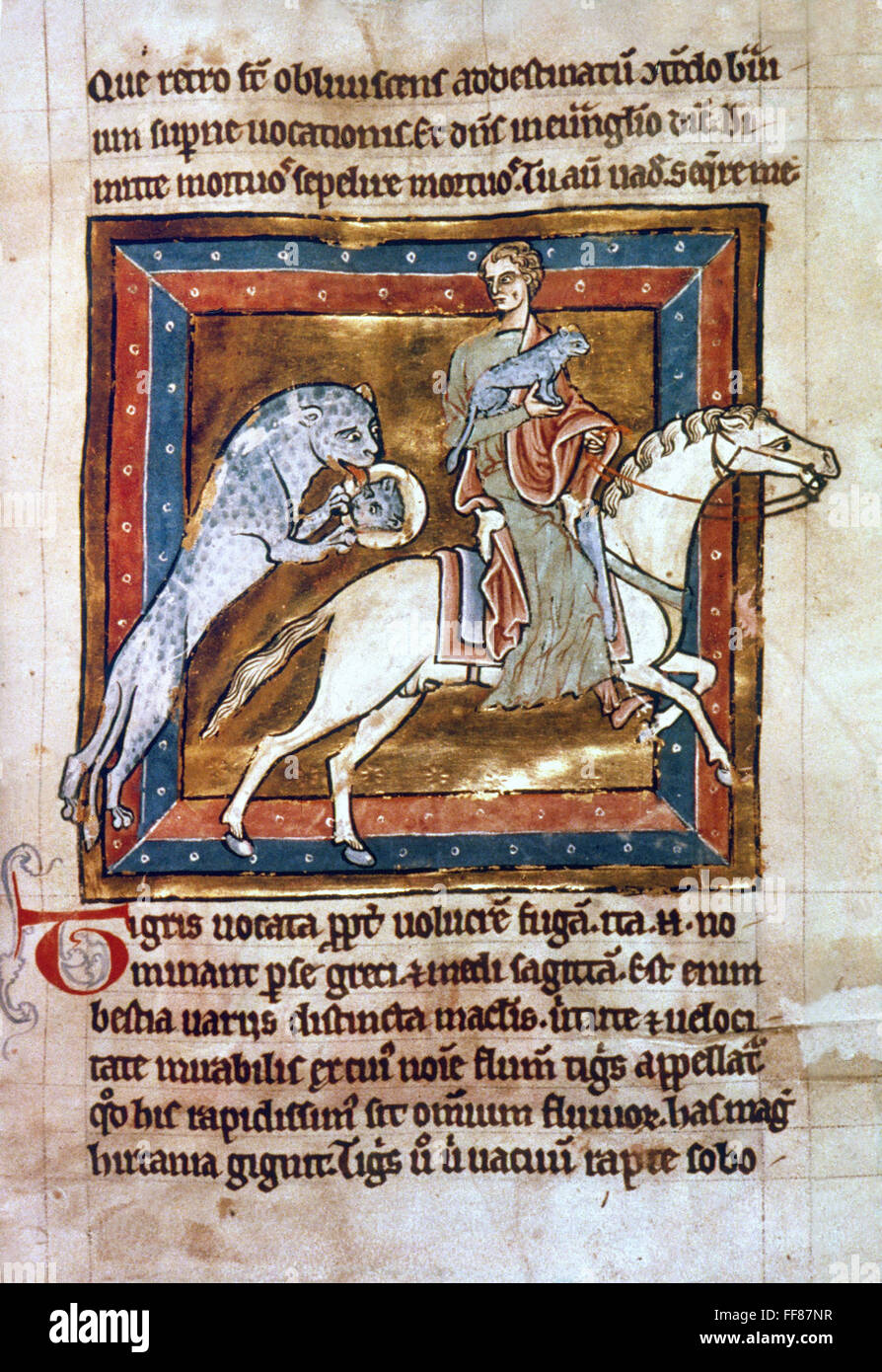 BESTIARY: THE TIGER. /nManuscript illumination from a 12th century ...