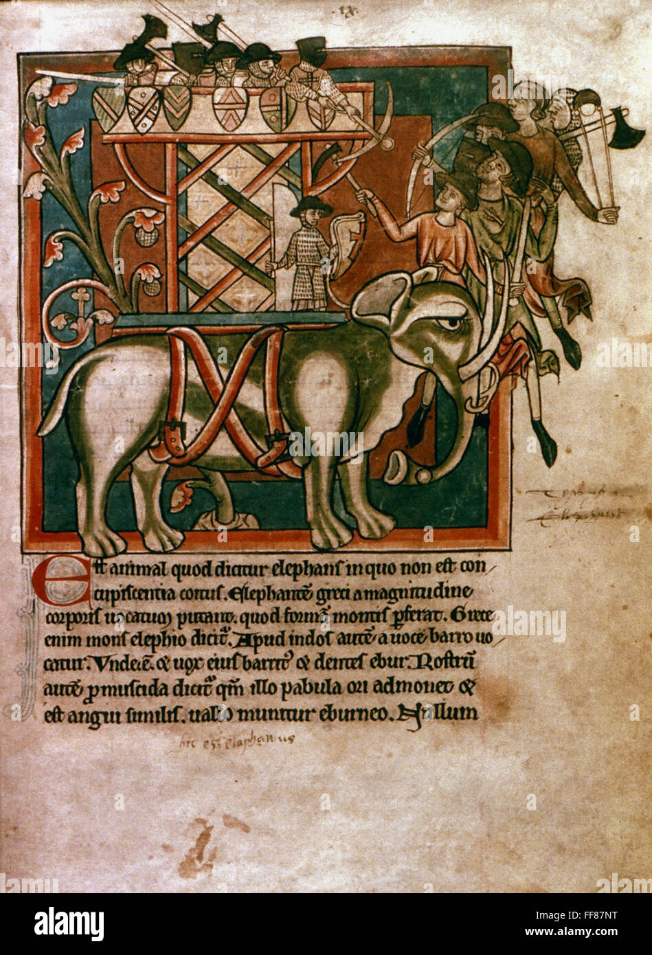 BESTIARY: THE ELEPHANT /nand Castle. Manuscript illumination from a ...