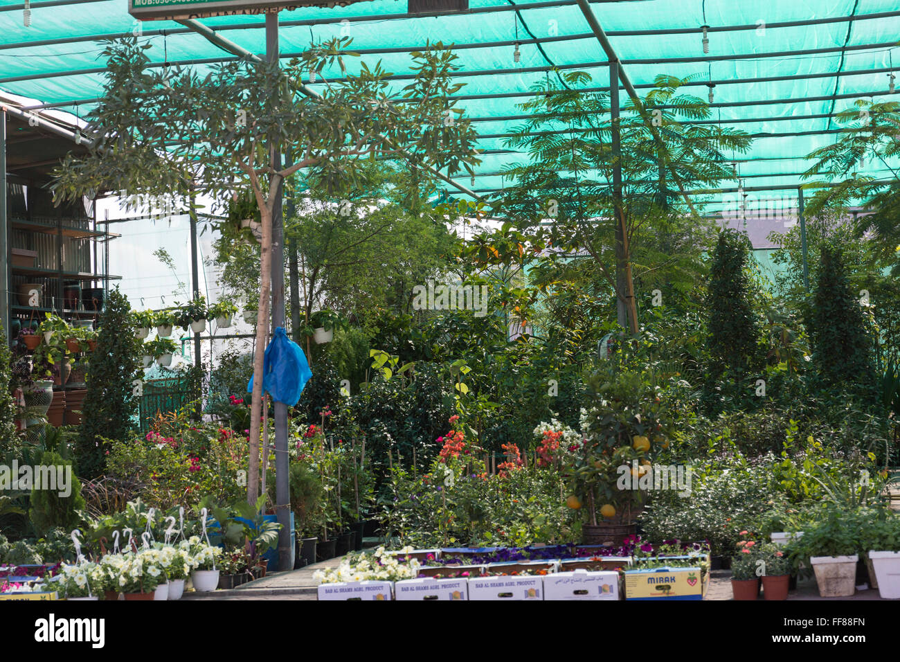 Masafi Friday market, Fujairah, UAE Stock Photo - Alamy