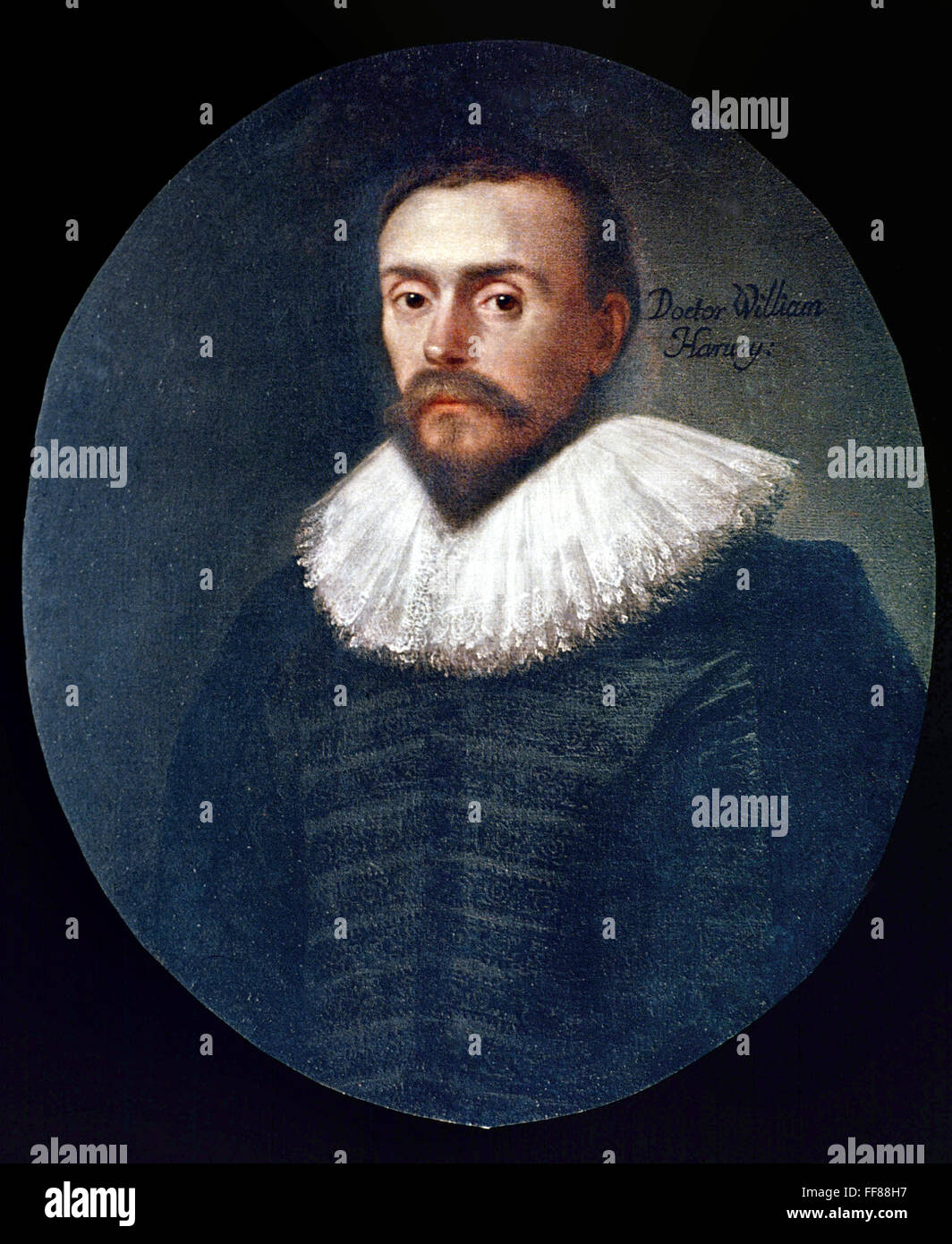 WILLIAM HARVEY (1578-1657). /nEnglish physician and anatomist. Oil on ...