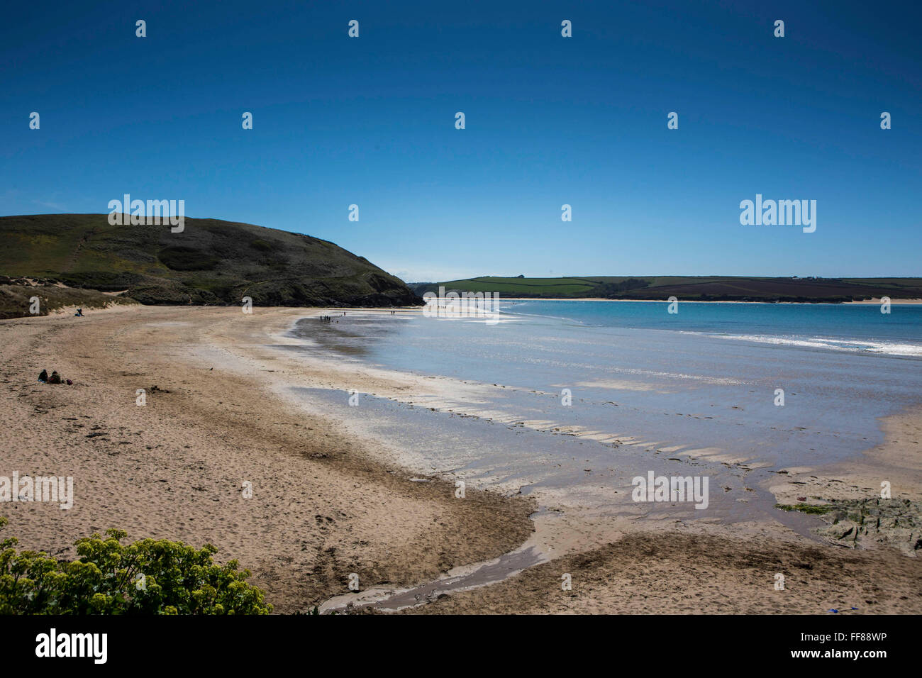A landscape view of beautiful sandy Daymer Bay beach with clear blue ...