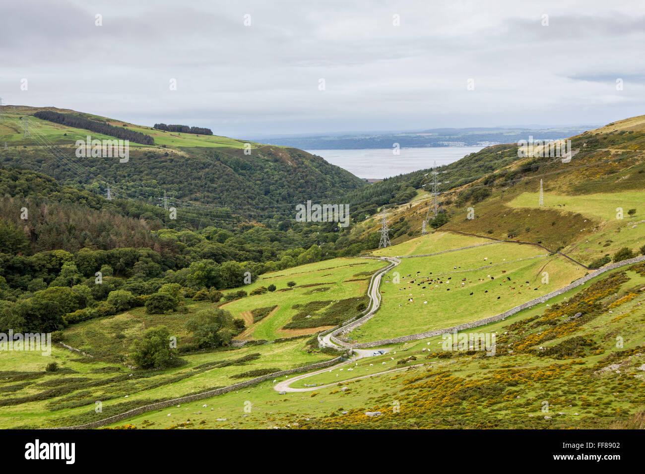 The path leading down the Anafon valley in the Carneddau which rises ...