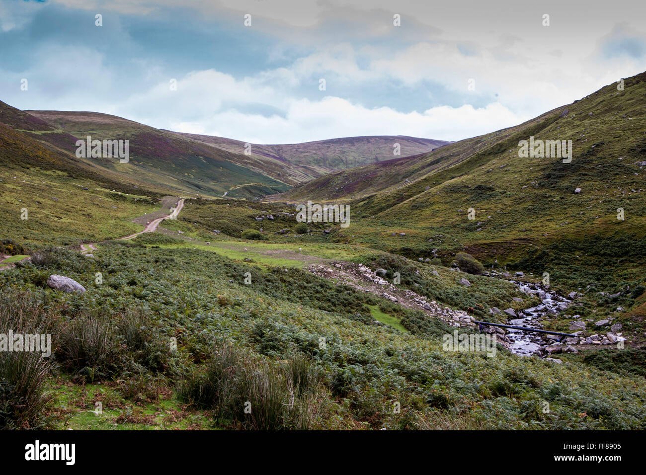 The path leading up the Anafon valley in the Carneddau. A pipe line ...