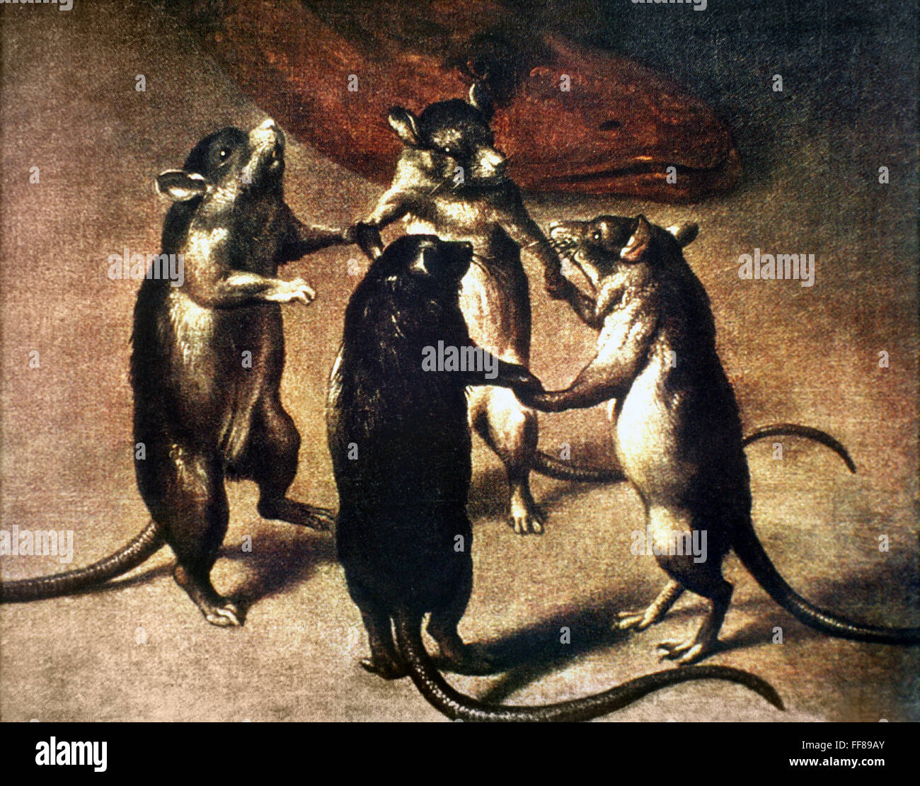 PLAGUE: DANCE OF THE RATS. /nRats dancing at the time of the plague ...