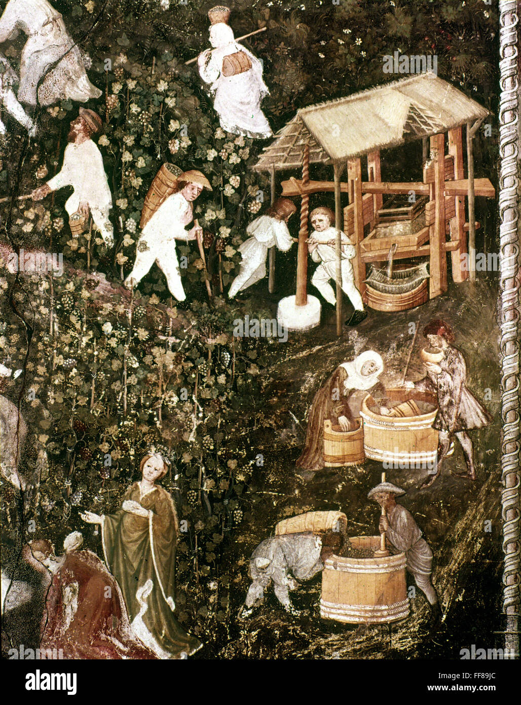 Medieval harvest hi-res stock photography and images - Alamy
