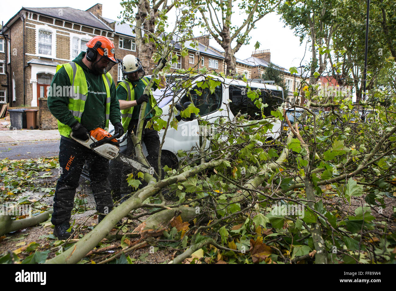 Workers cutting up a large tree with it’s roots ripped out of the ...