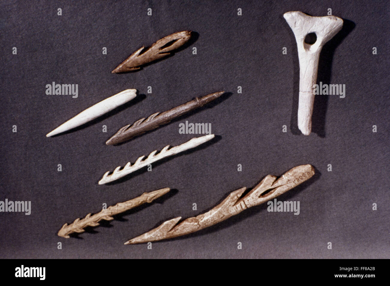 PREHISTORIC HARPOON POINT. /nPaleolithic bone harpoon and spear points ...