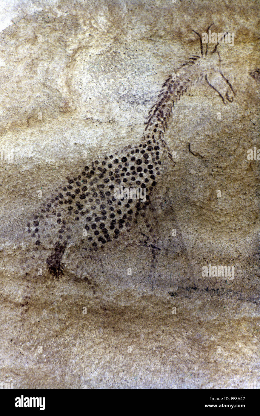 SAHARAN ROCK PAINTING. /nGiraffe. Rock painting from Tassili-des-Ajjer ...