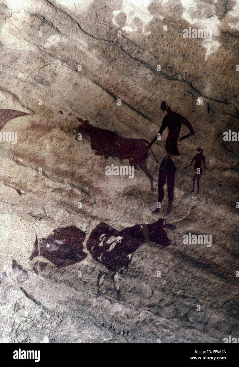 AFRICA: CAVE ART. /nPrehistoric Saharan rock painting of shepherds of ...