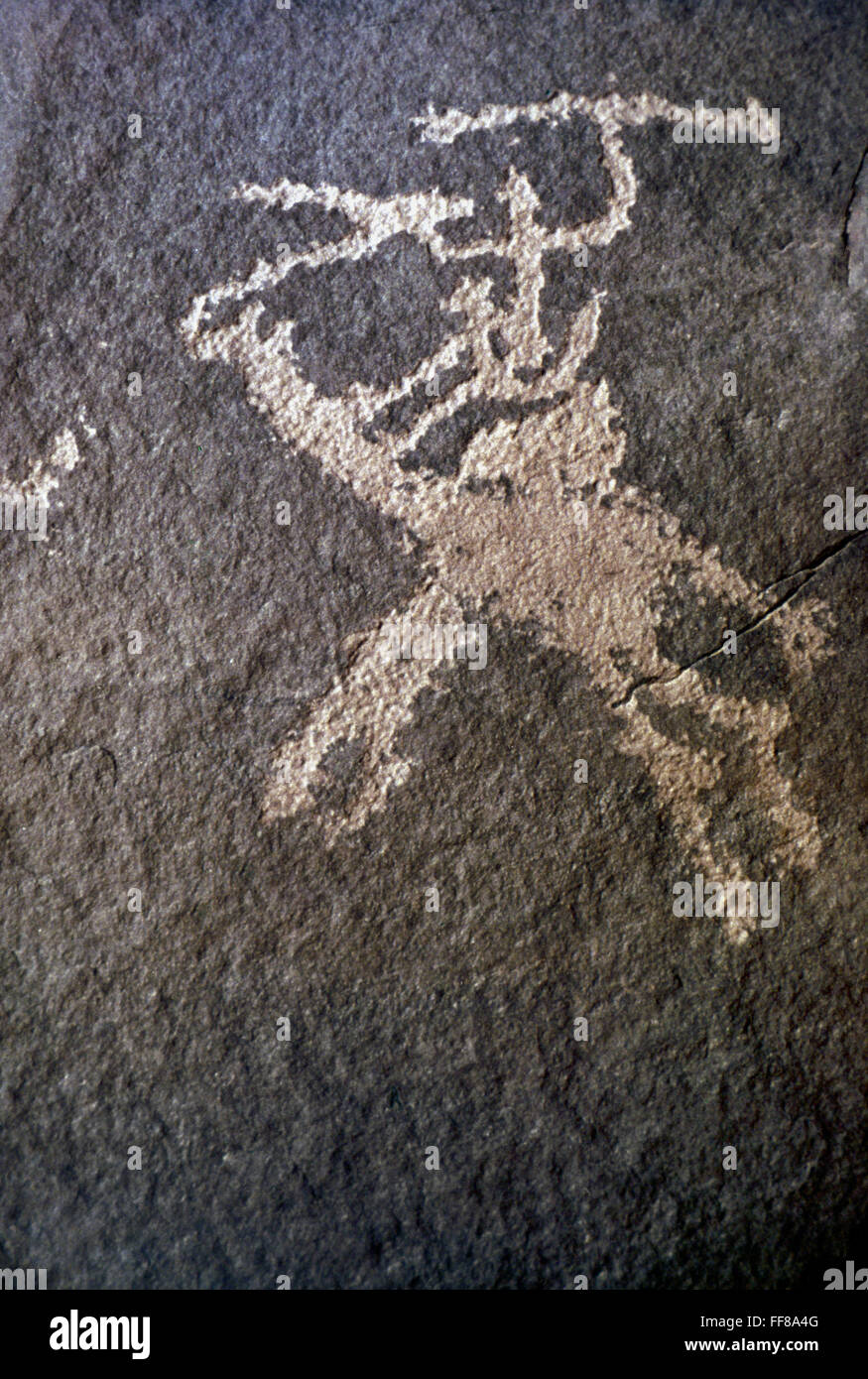 SAHARAN CAVE PAINTING. /nPrehistoric Saharan rock painting of galloping ...