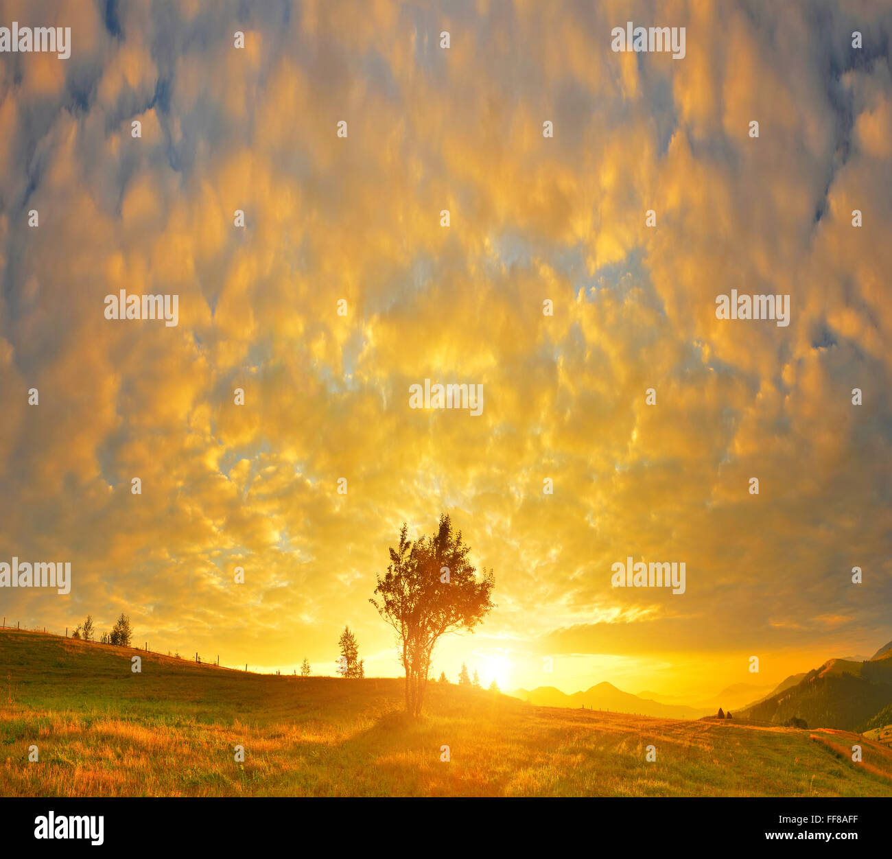 Rising above clouds hi-res stock photography and images - Alamy