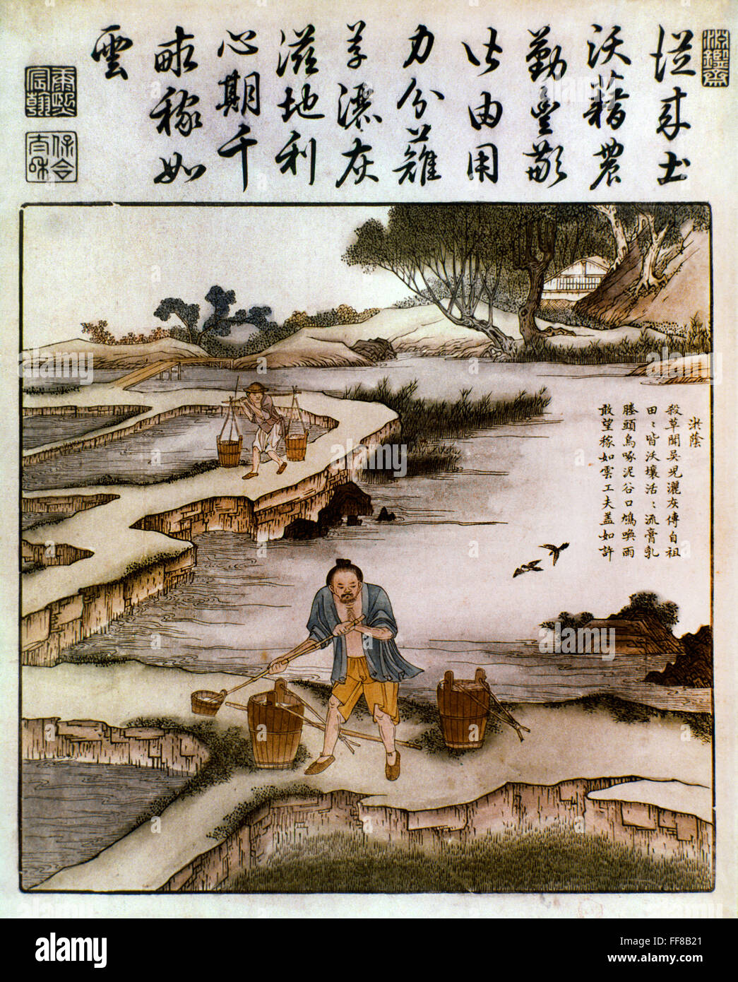 RICE CULTURE, 1689. /nFertilizing the rice crop with dung: Chinese ...