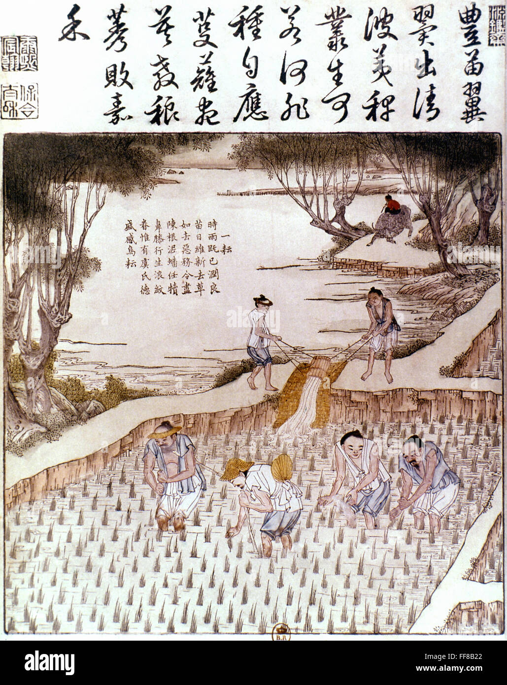 CHINA: RICE CULTIVATION. /n'Weeding and Irrigating the Rice Crop ...