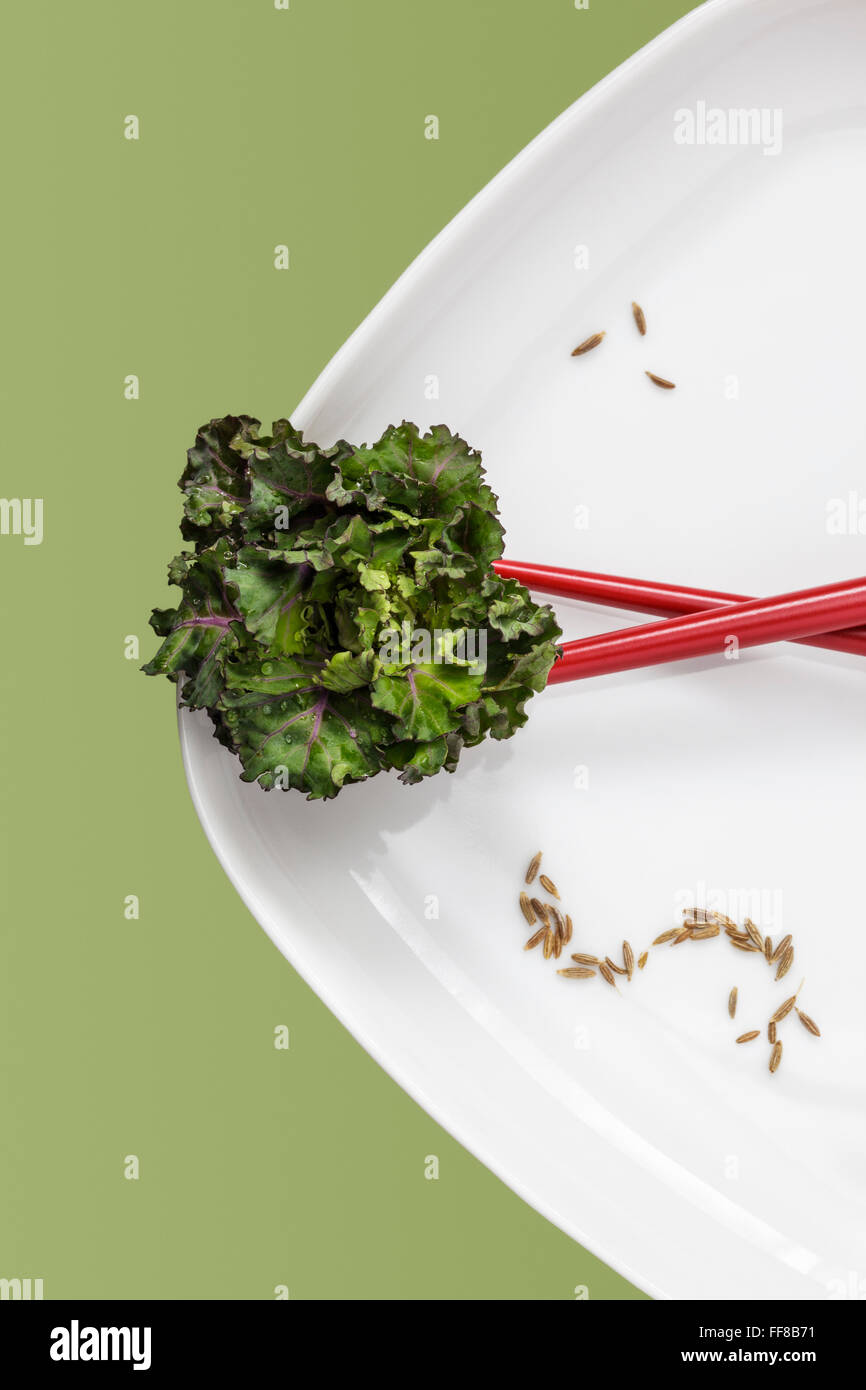 One Flower Sprout on white plate with Cumin seeds Stock Photo - Alamy