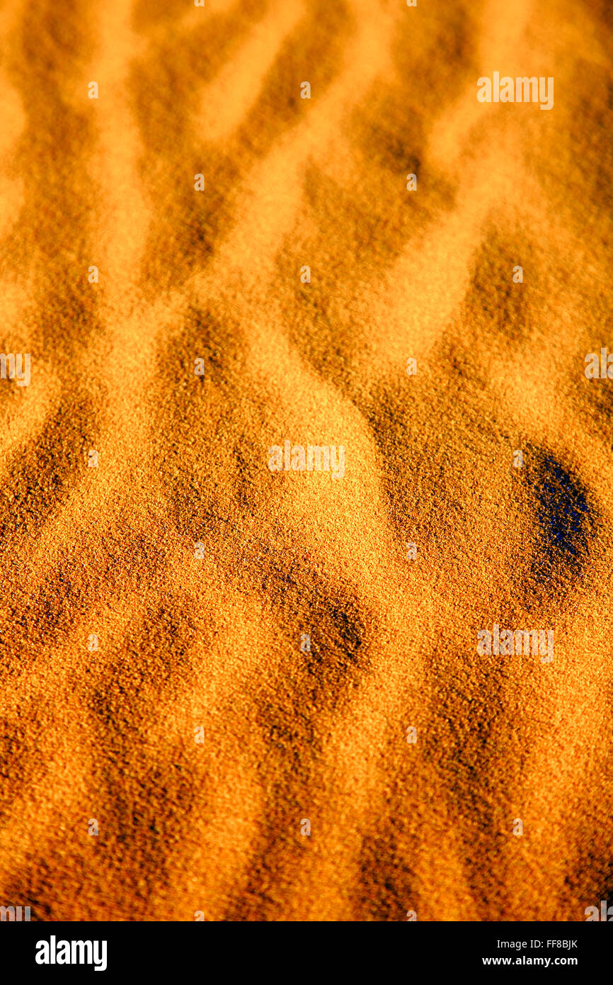 the brown sand dune in the sahara morocco desert Stock Photo - Alamy