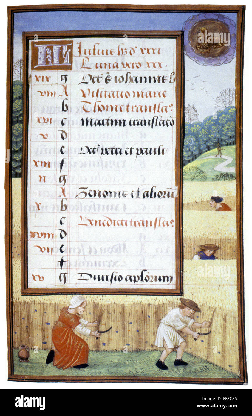 REAPING CORN IN JULY. /nMiniature from a Flemish Book of Hours, c1500 ...