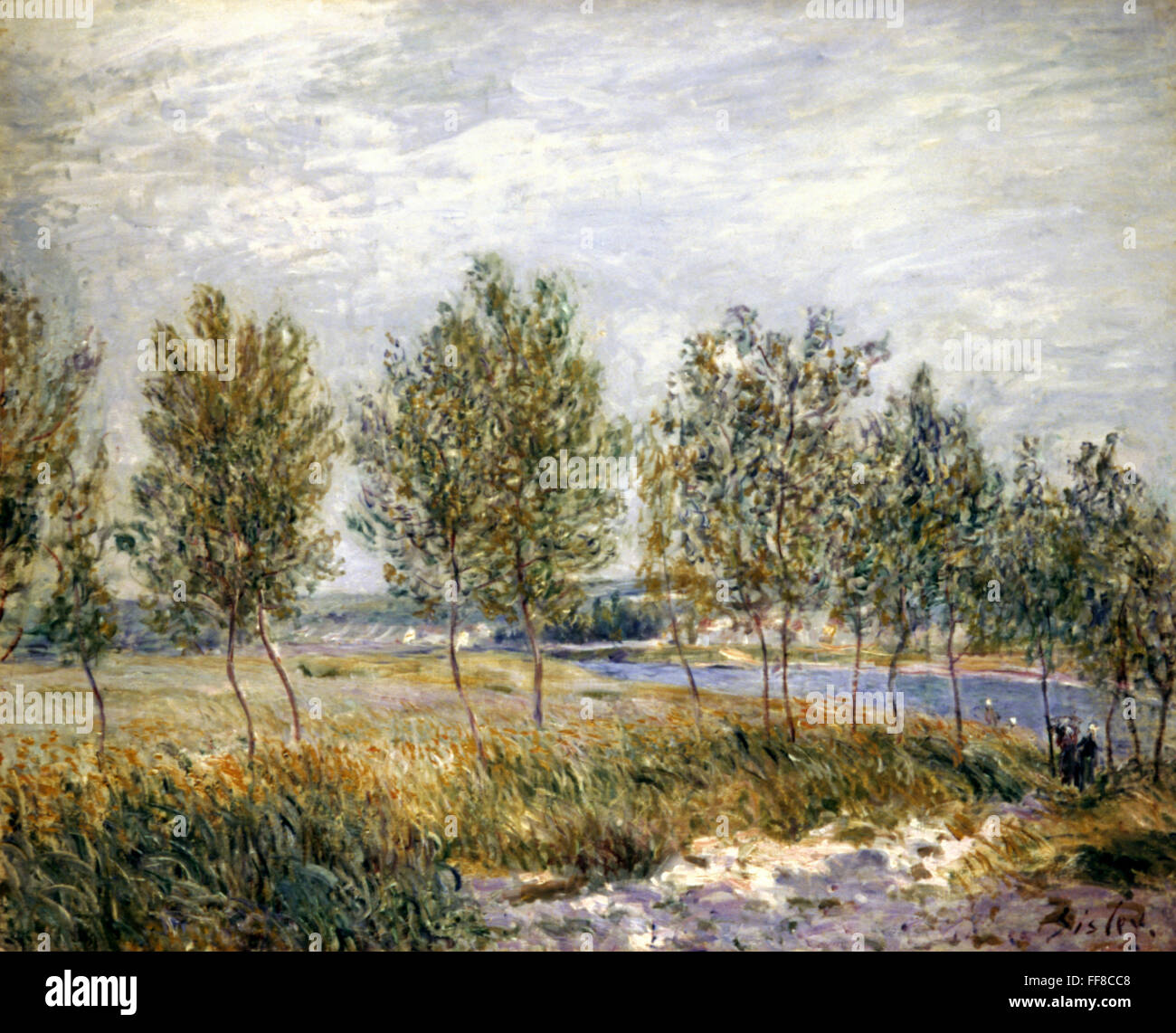 SISLEY: POPLARS. /nPoplars on a River Bank. Canvas, n.d, by Alfred ...