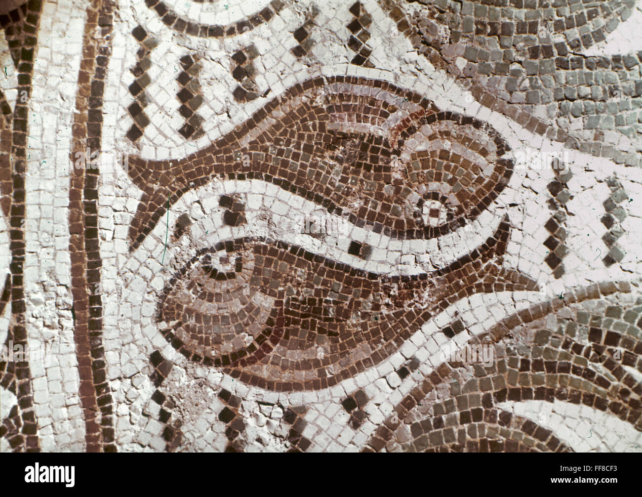 CHRISTIAN: FISH MOSAIC. /nSymbolic fish. Early Christian mosaic from ...