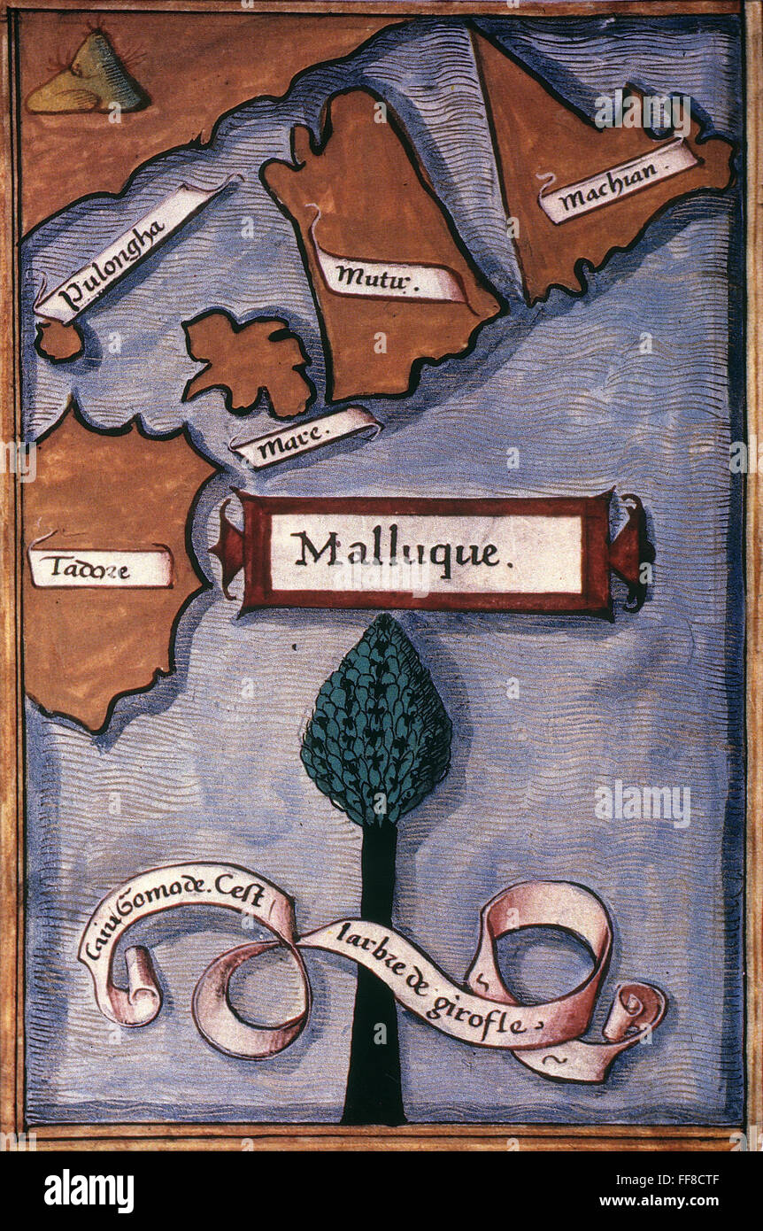 THE MOLUCCAS. /nFrench drawing of the spice islands after Pigafetta's ...