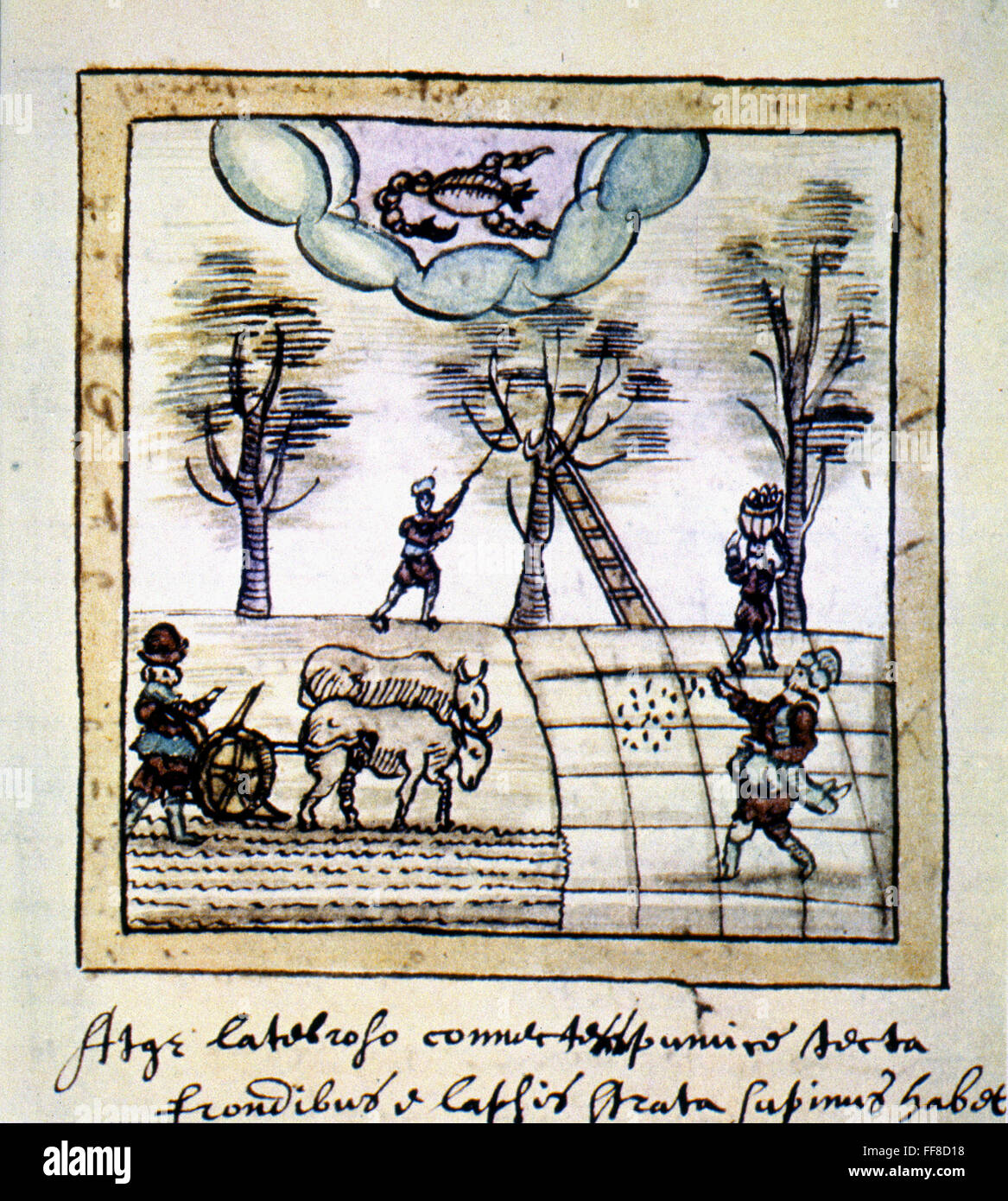 FARMING, 17th CENTURY. /nWorking the fields in November: French ...