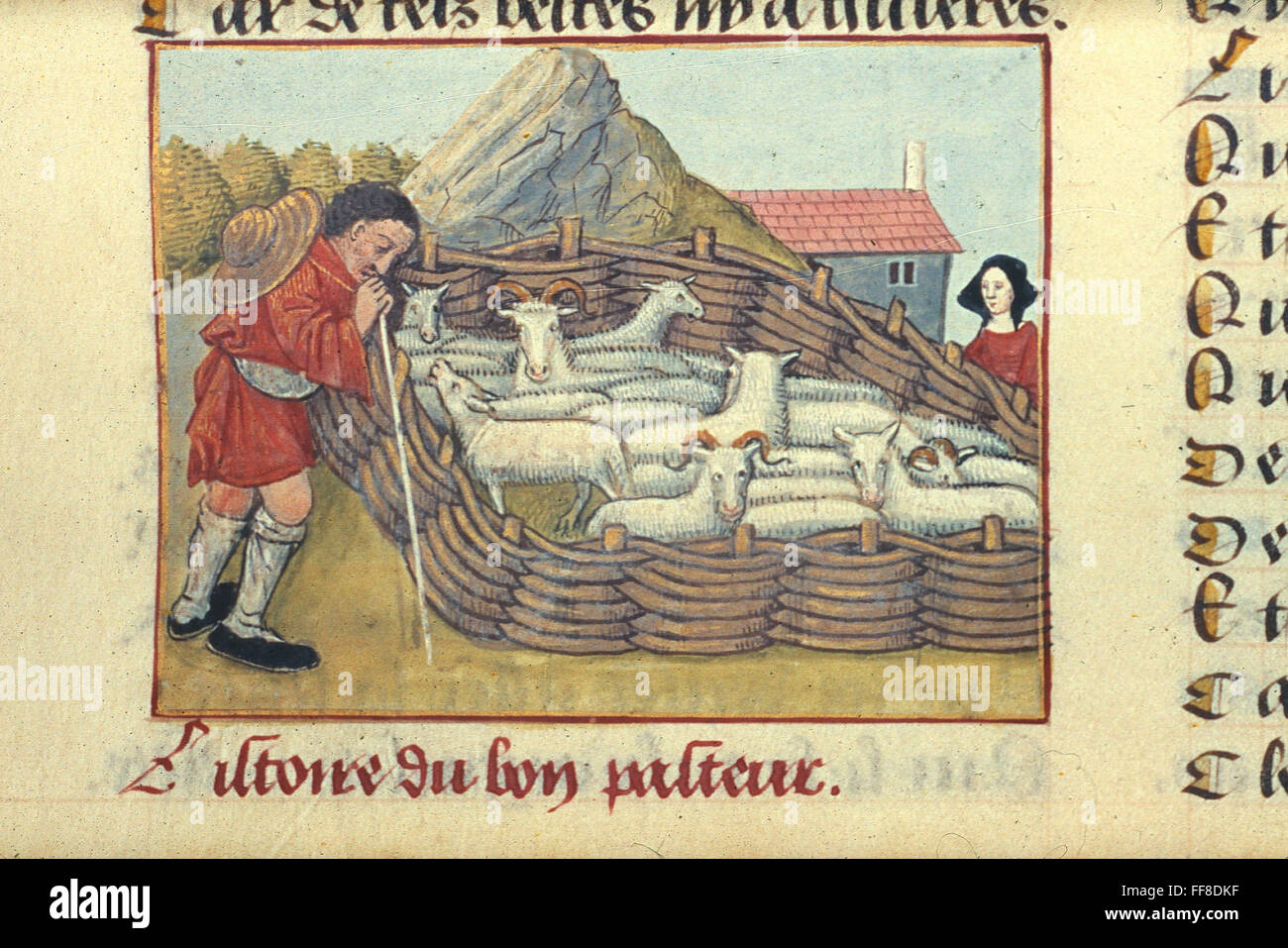 MEDIEVAL SHEPHERD, c1490. /nA shepherd and his flock: illumination from ...