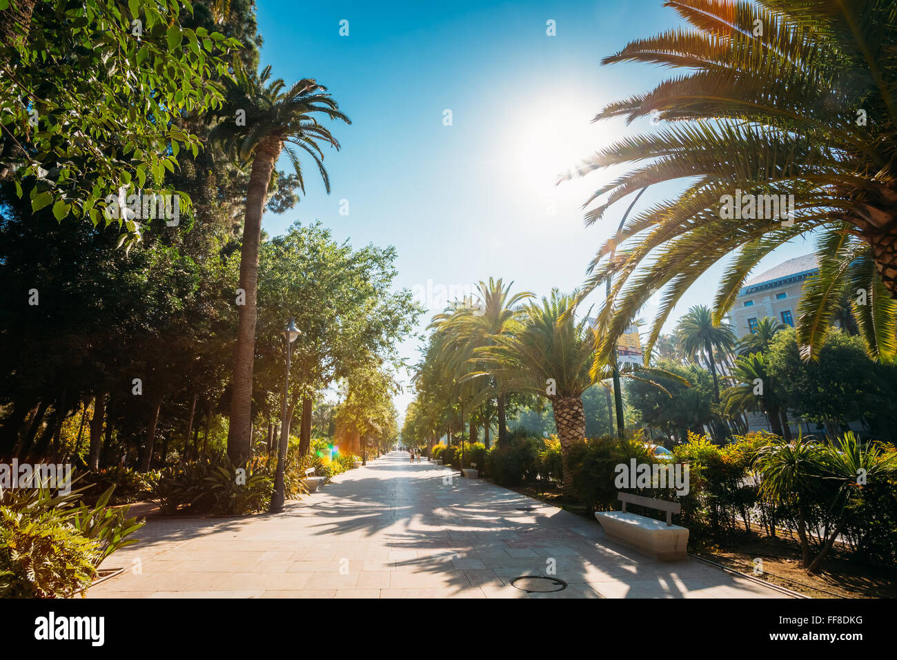 Paseo del parque hi-res stock photography and images - Alamy