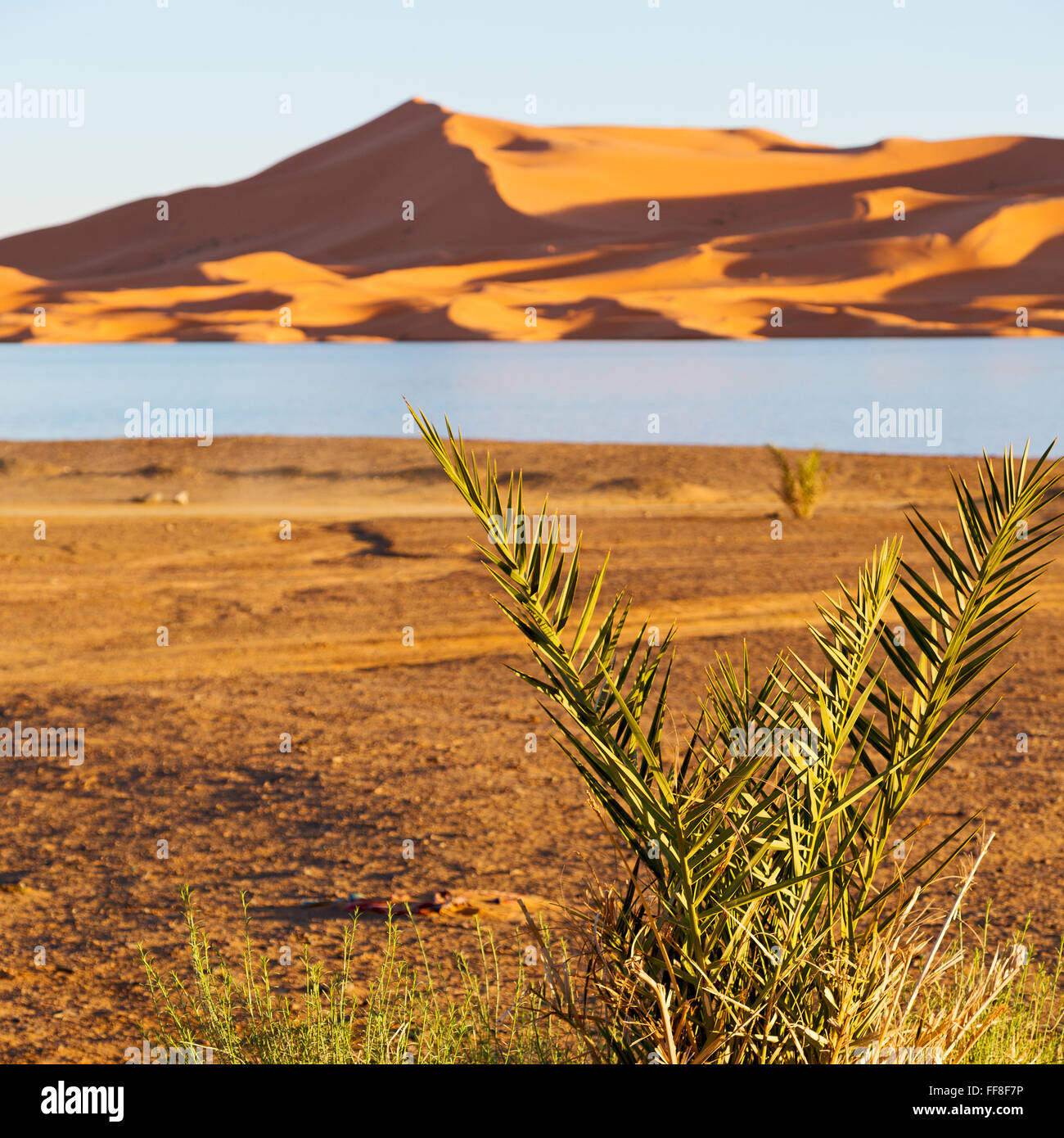 sunshine in the desert of morocco sand and lake dune Stock Photo - Alamy