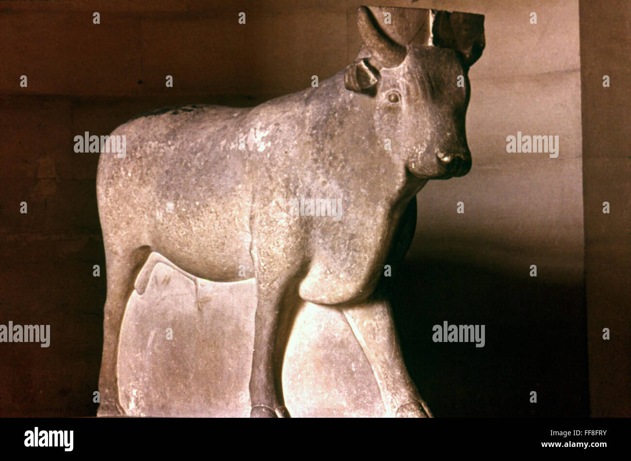 EGYPTIAN BULL-GOD APIS. /nStatue from the Serapeum of Memphis Stock ...