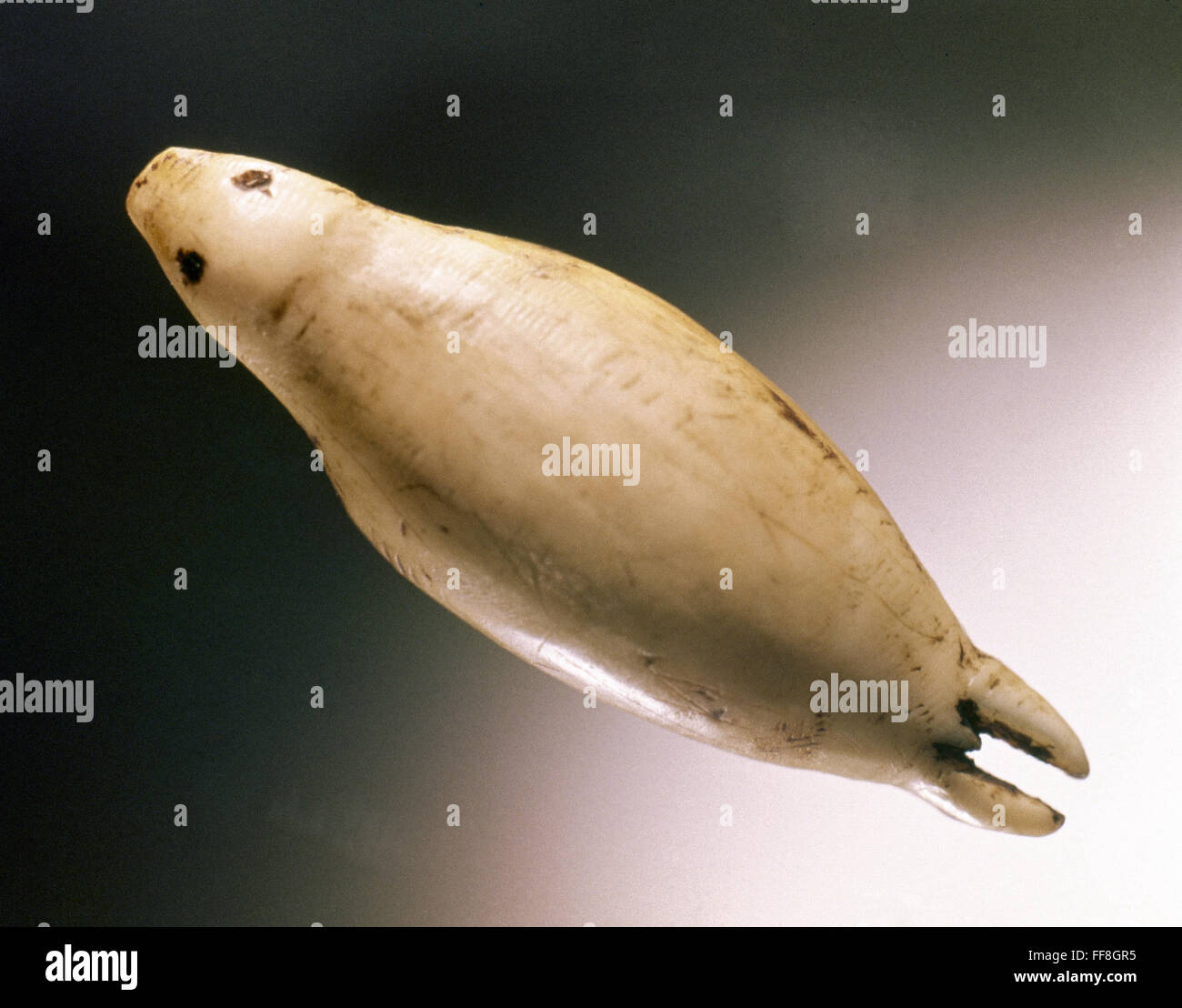 NATIVE AMERICAN/INUIT BEAR CARVING. /nWest Alaskan carved ivory polar ...