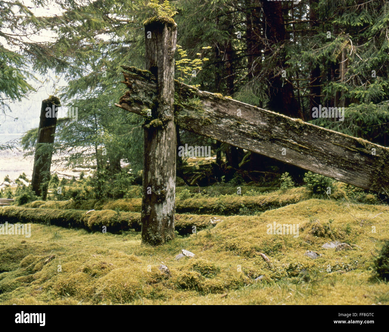PACIFIC NORTHWEST NATIVE AMERICANS. /nHaida house remains with corner ...