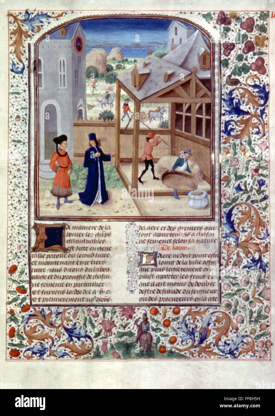 MEDIEVAL MANOR LIFE. /nCrescentius discussing harvesting and threshing ...