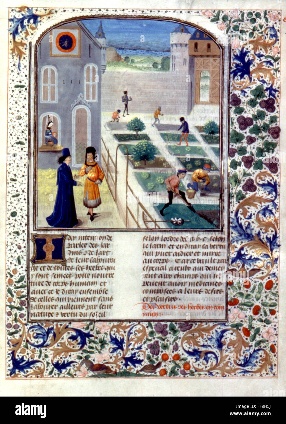 HERB PLANTING, c1470. /nCrescentius discussing herb planting. Flemish ...