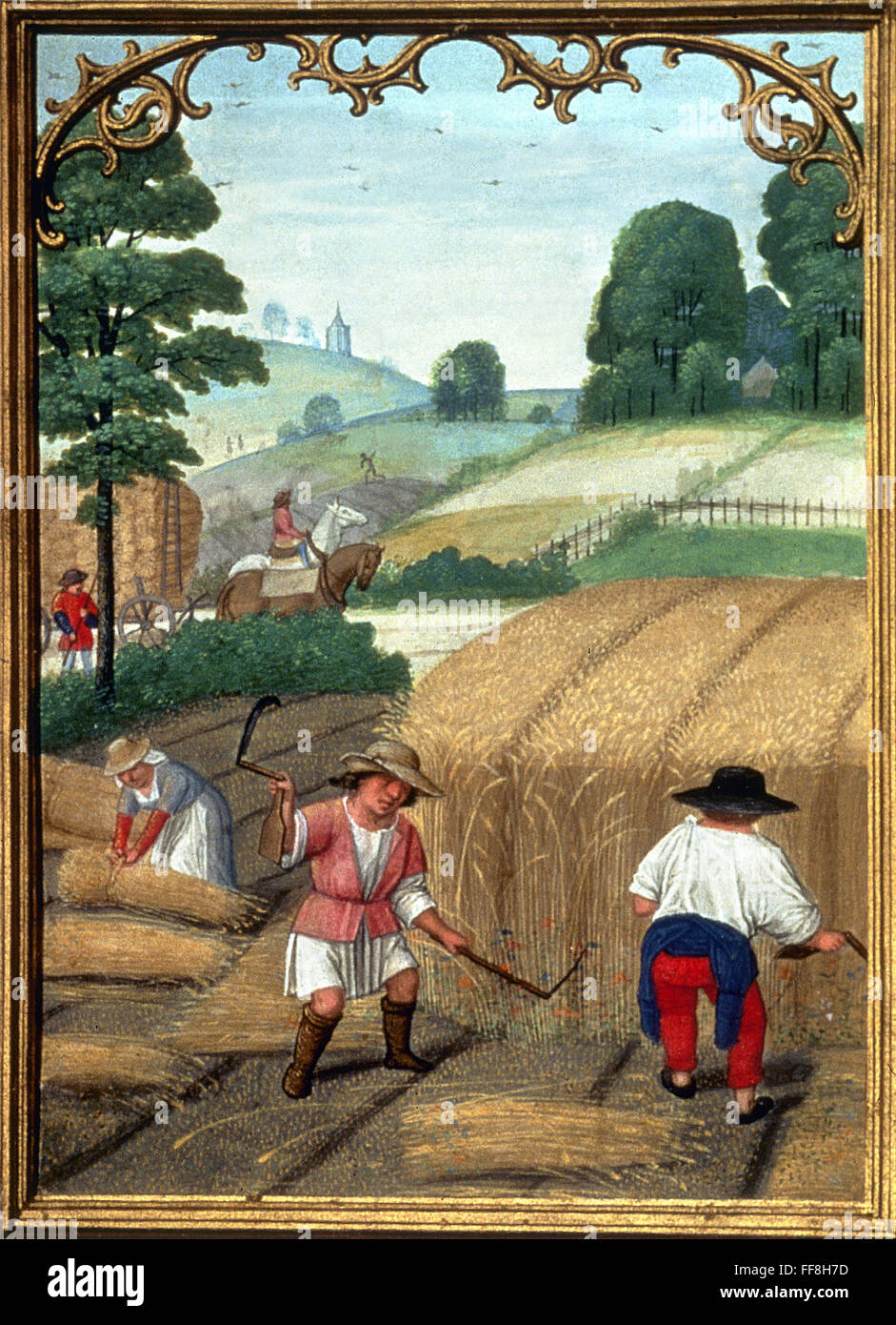 Sheaves of wheat High Resolution Stock Photography and Images - Alamy