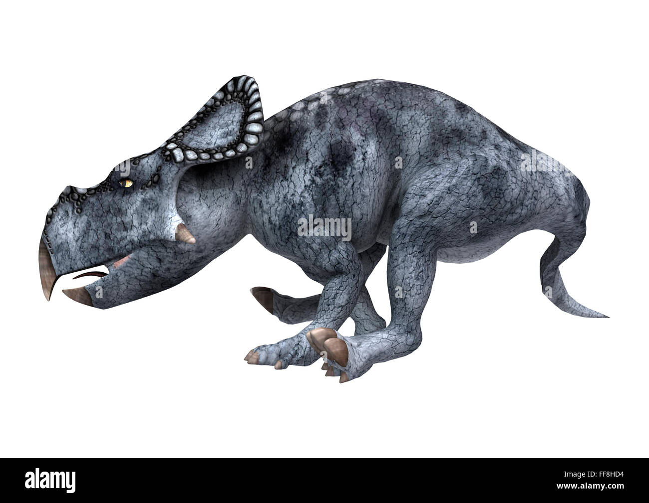 3D digital render of a dinosaur protoceratops isolated on white ...