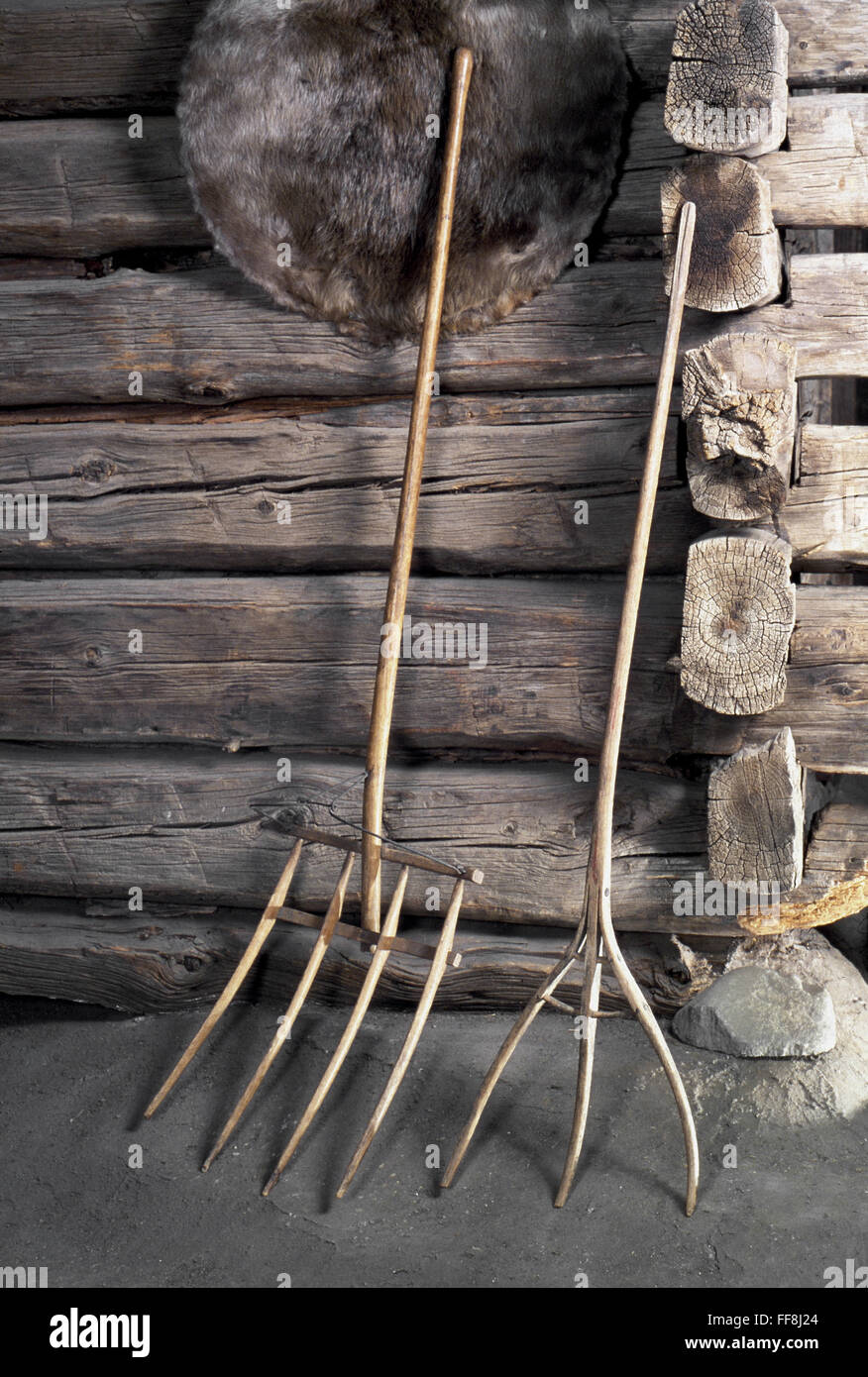 AMERICAN FARM TOOLS. /nAmerican barley fork (left) and hay fork Stock ...