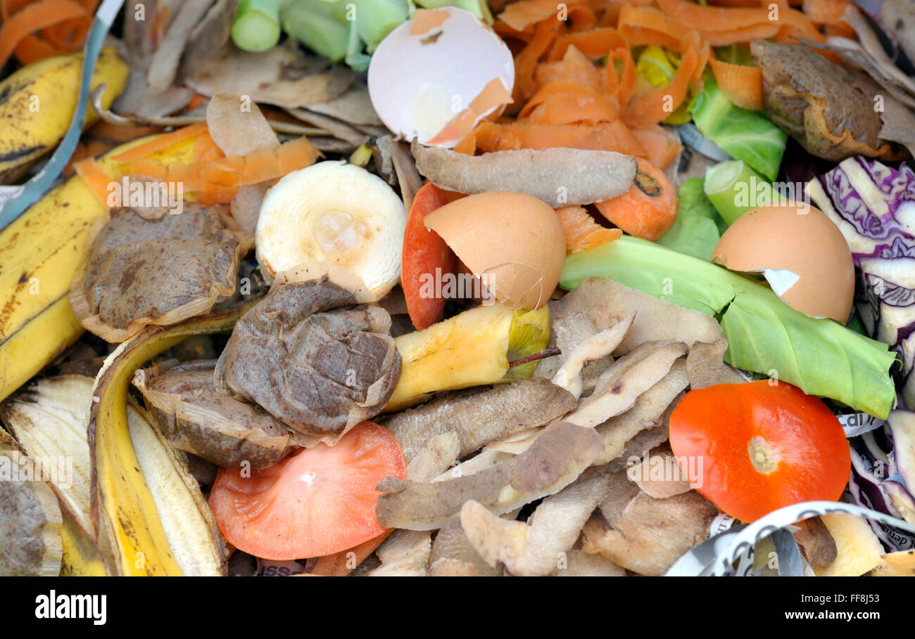 Food waste farm hi-res stock photography and images - Alamy