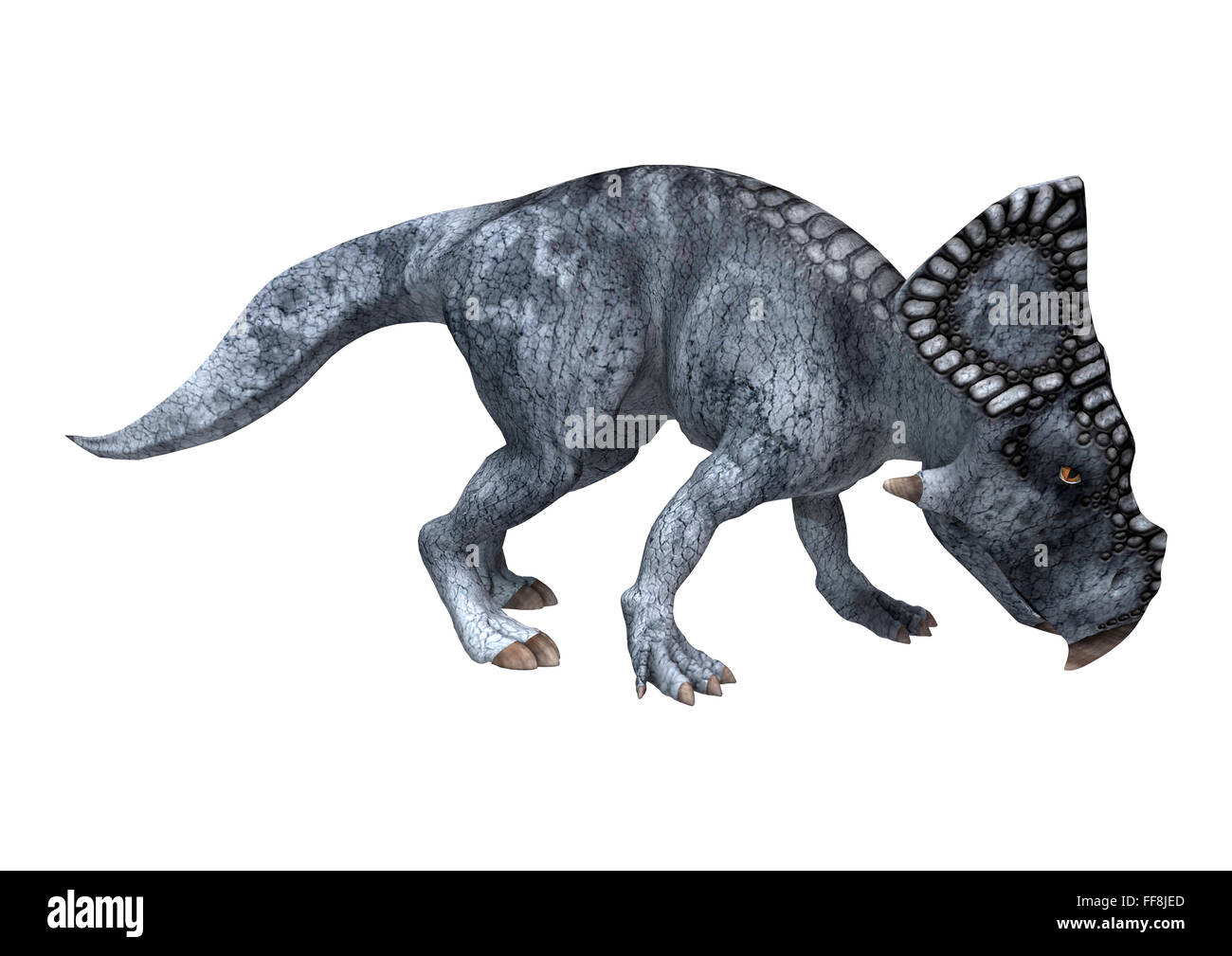 3D digital render of a dinosaur protoceratops isolated on white ...
