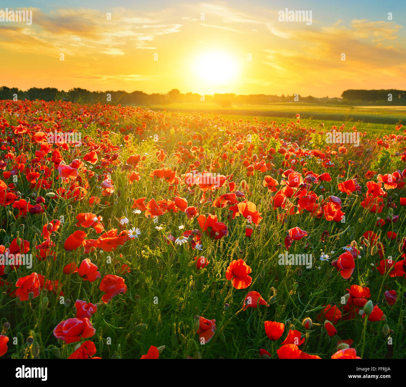 Sunrise countryside hi-res stock photography and images - Alamy