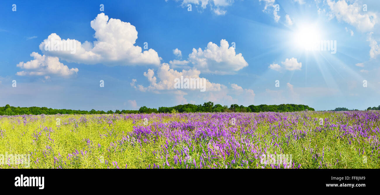 Panoramic countryside in sunny weather Stock Photo - Alamy