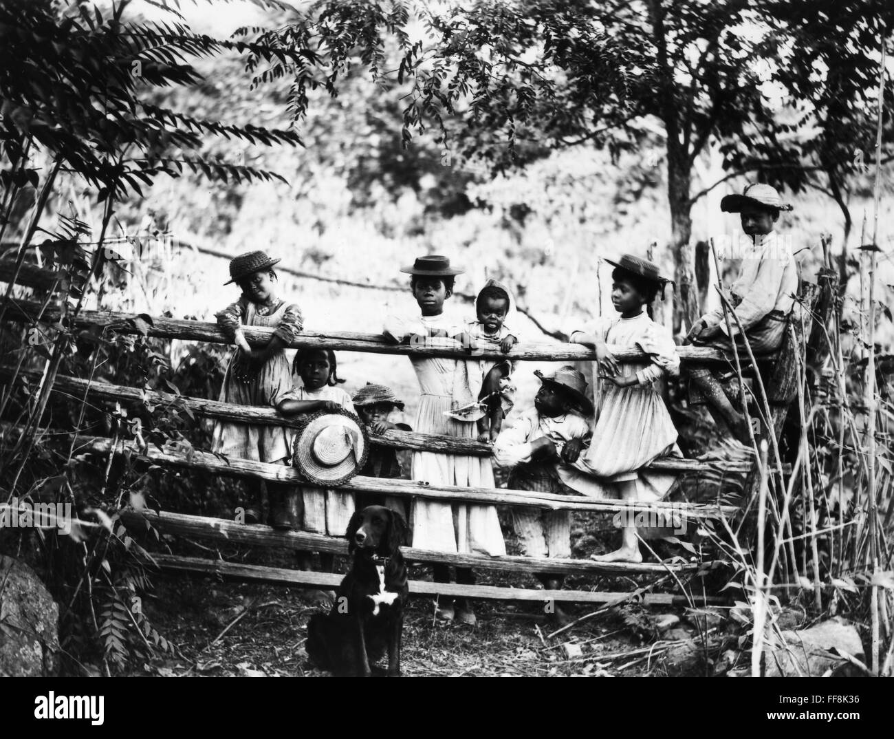 AFRICAN AMERICAN CHILDREN. /nA group of children in rural Virginia ...
