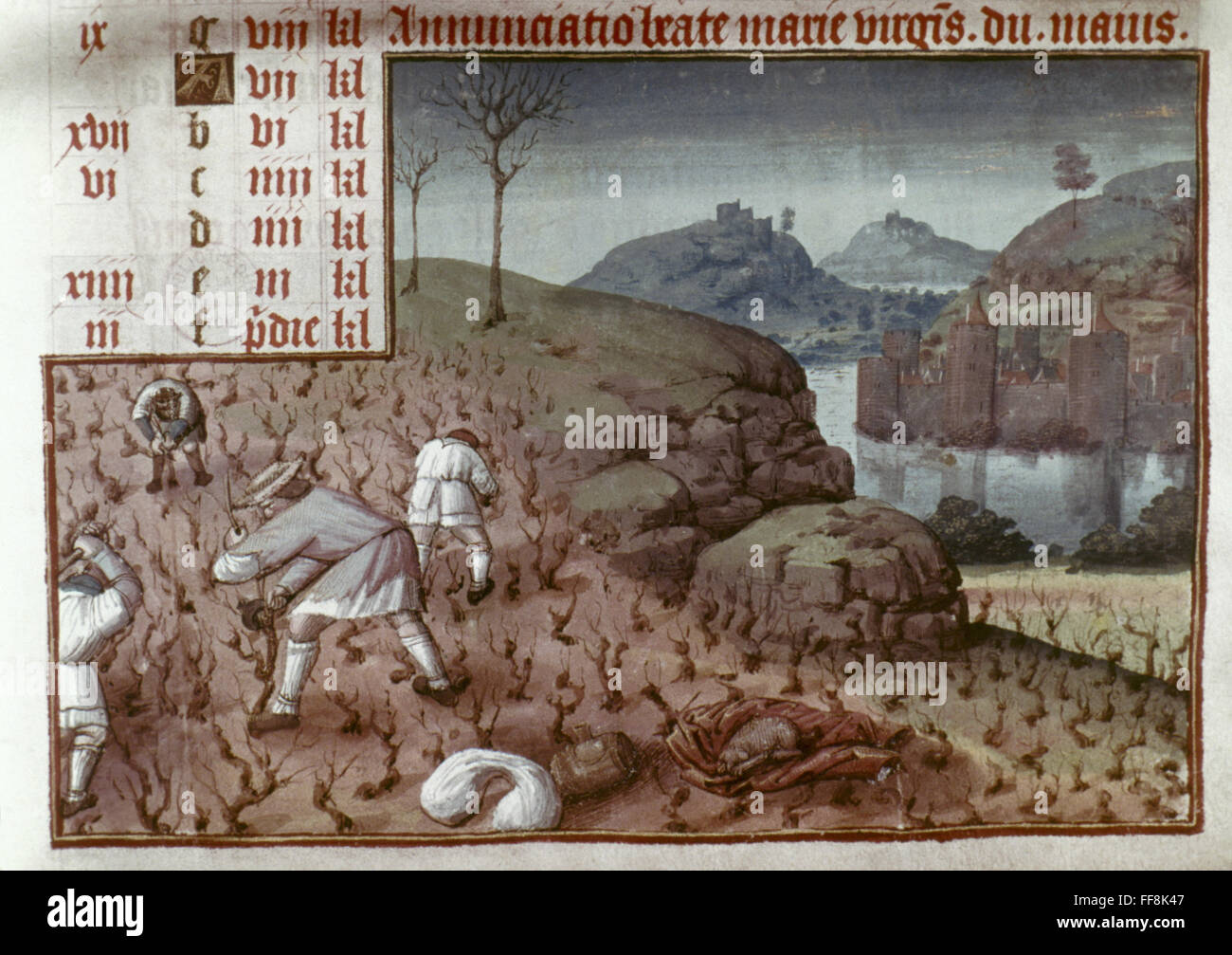 PRUNING VINES IN MARCH. /nFrench manuscript illumination, late 15th ...