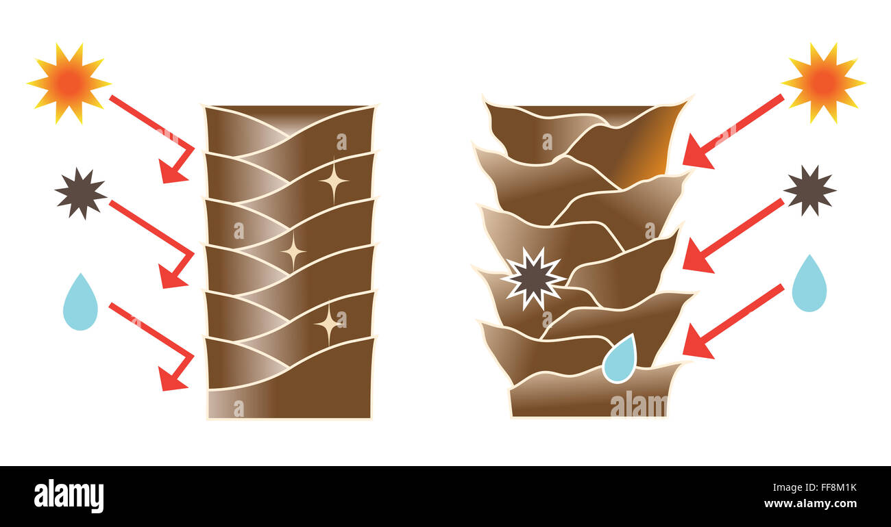 Hair relax Cut Out Stock Images & Pictures - Alamy