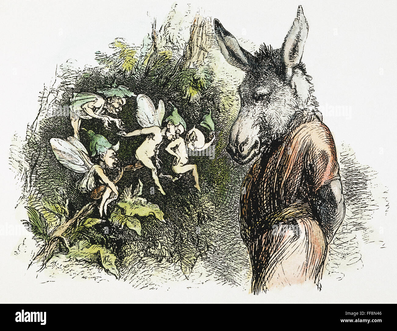 MIDSUMMER NIGHT'S DREAM. /nBottom, wearing an ass's head, with the ...