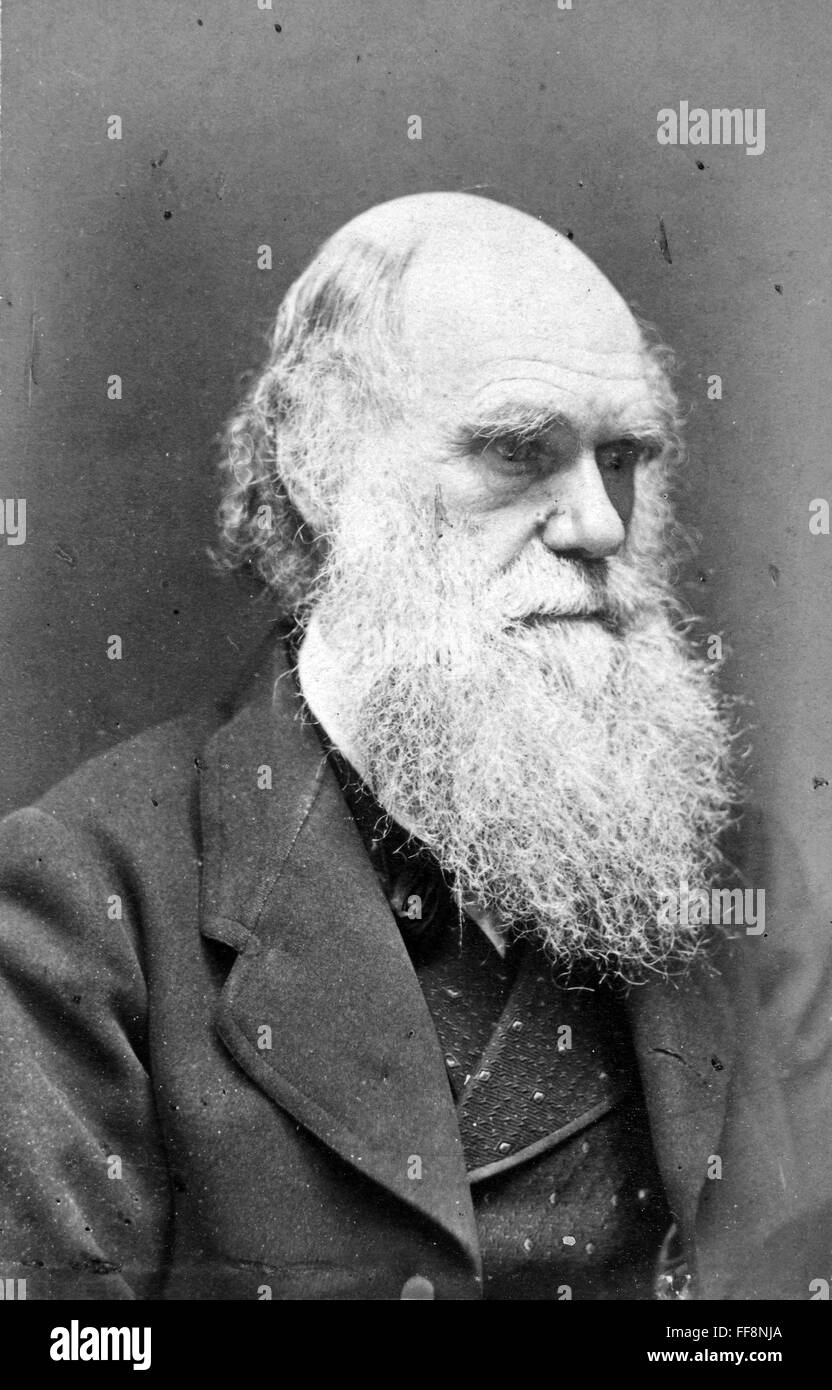 CHARLES ROBERT DARWIN /n(1809-1882). English naturalist. Original carte ...