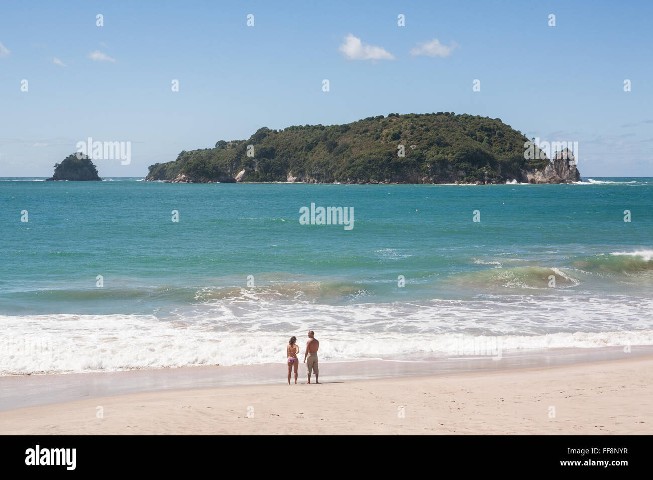 Hahei Beach,Coromandel Peninsula,North Island,New Zealand,Pacific Stock ...