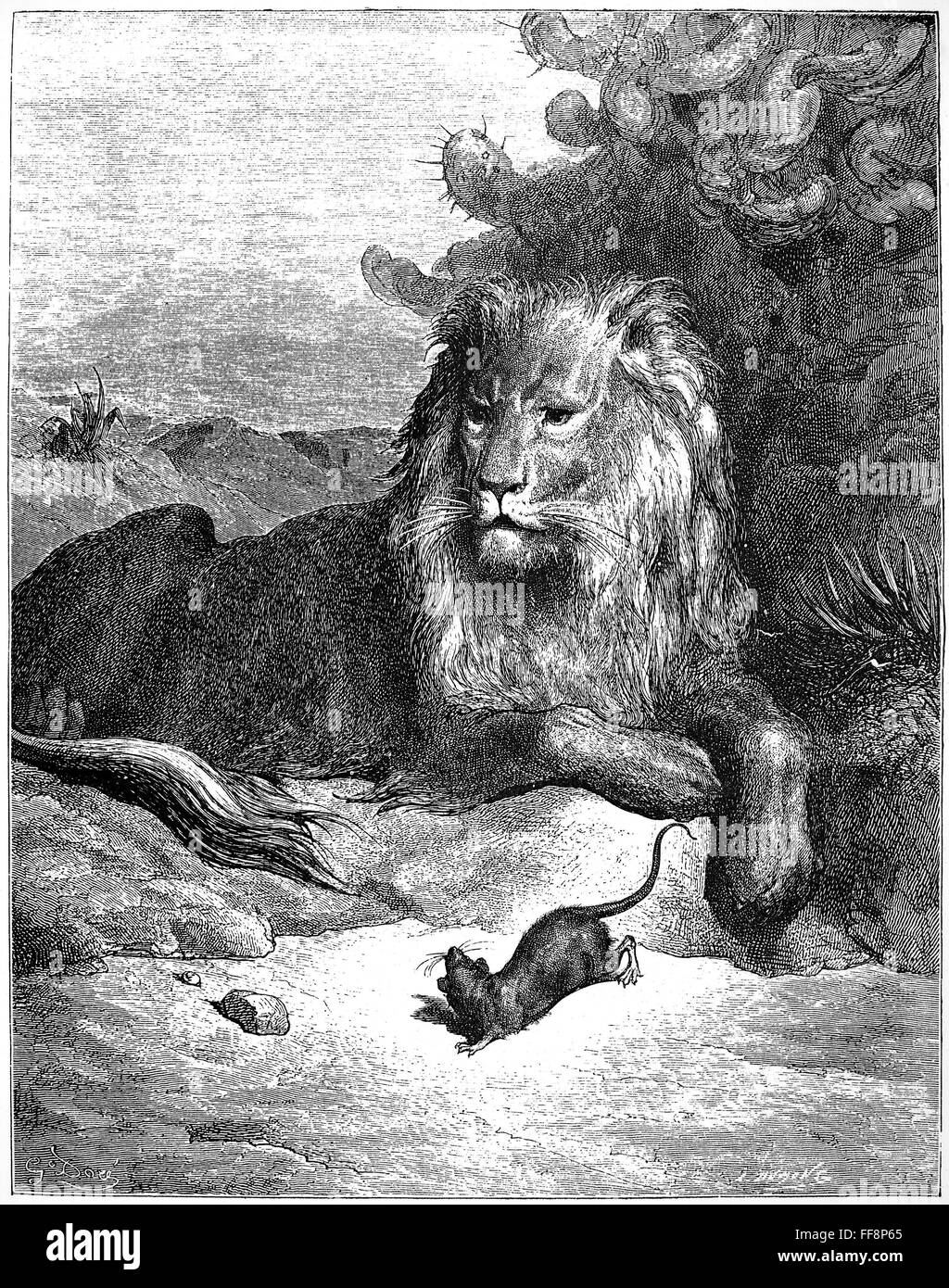 Jean de la fontaine fables lion hi-res stock photography and images - Alamy