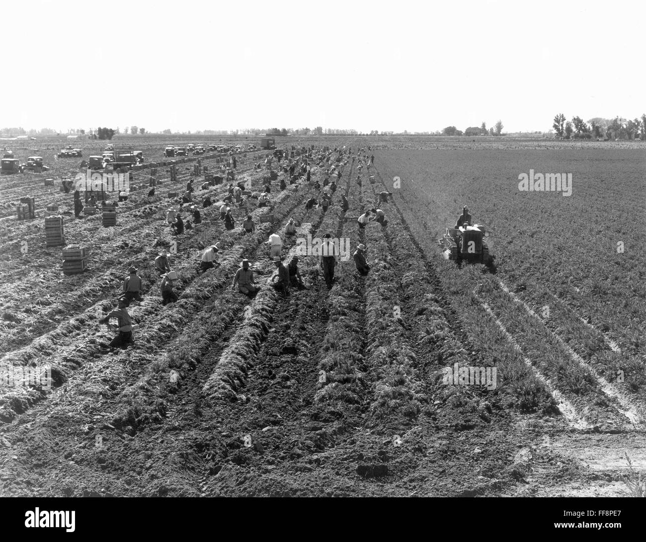 MIGRANT WORKERS, 1934. /nMigrant workers farming. Photograph by ...