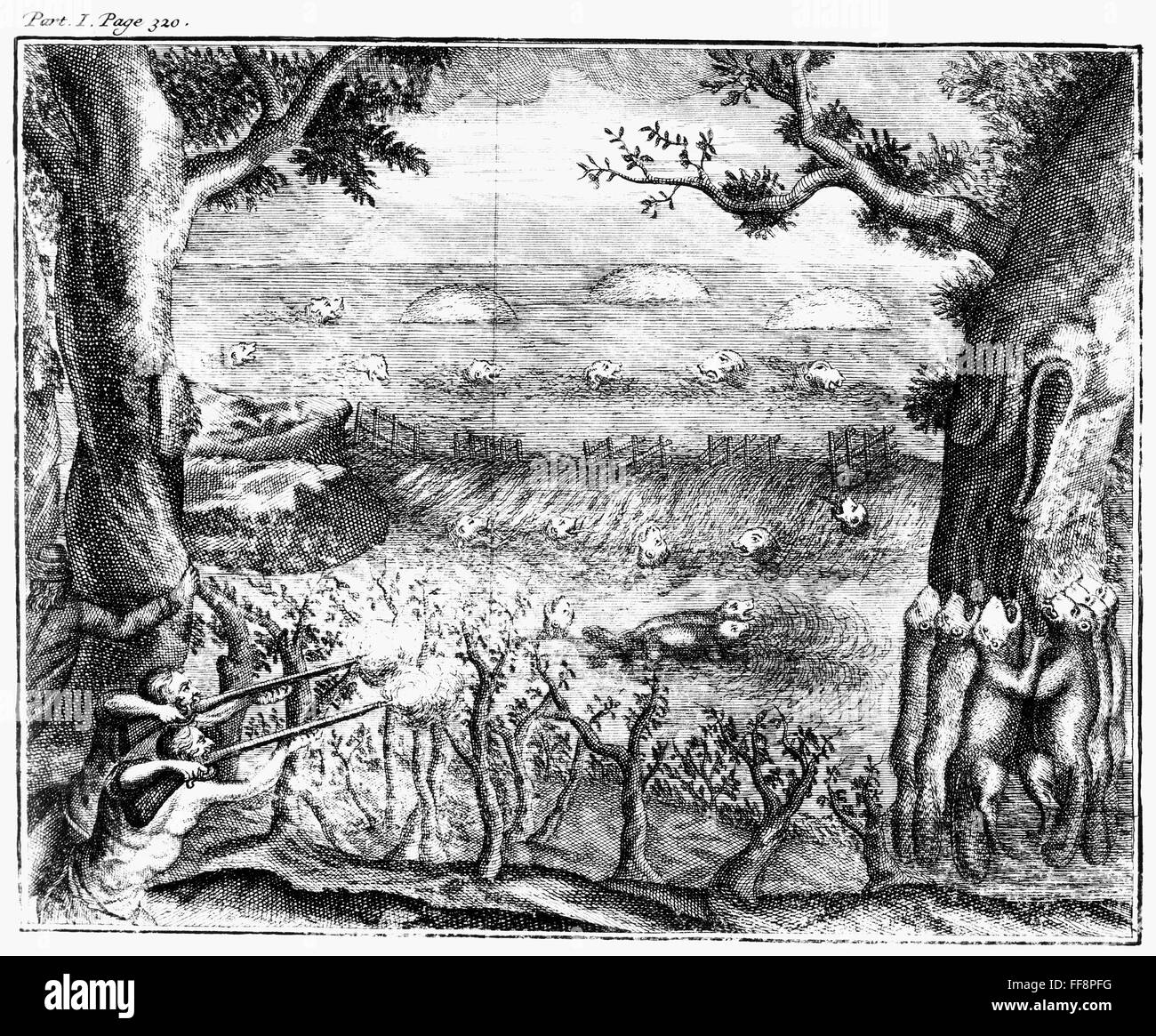 FUR TRADE: BEAVERS, 1728. /nCanadian Native Americans hunting beavers ...