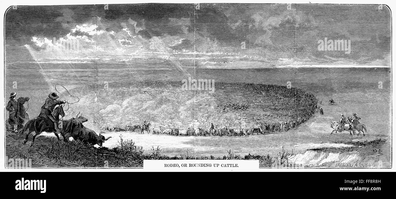 COWBOYS, 1874. /n'Rodeo, or Rounding Up Cattle.' Wood engraving ...